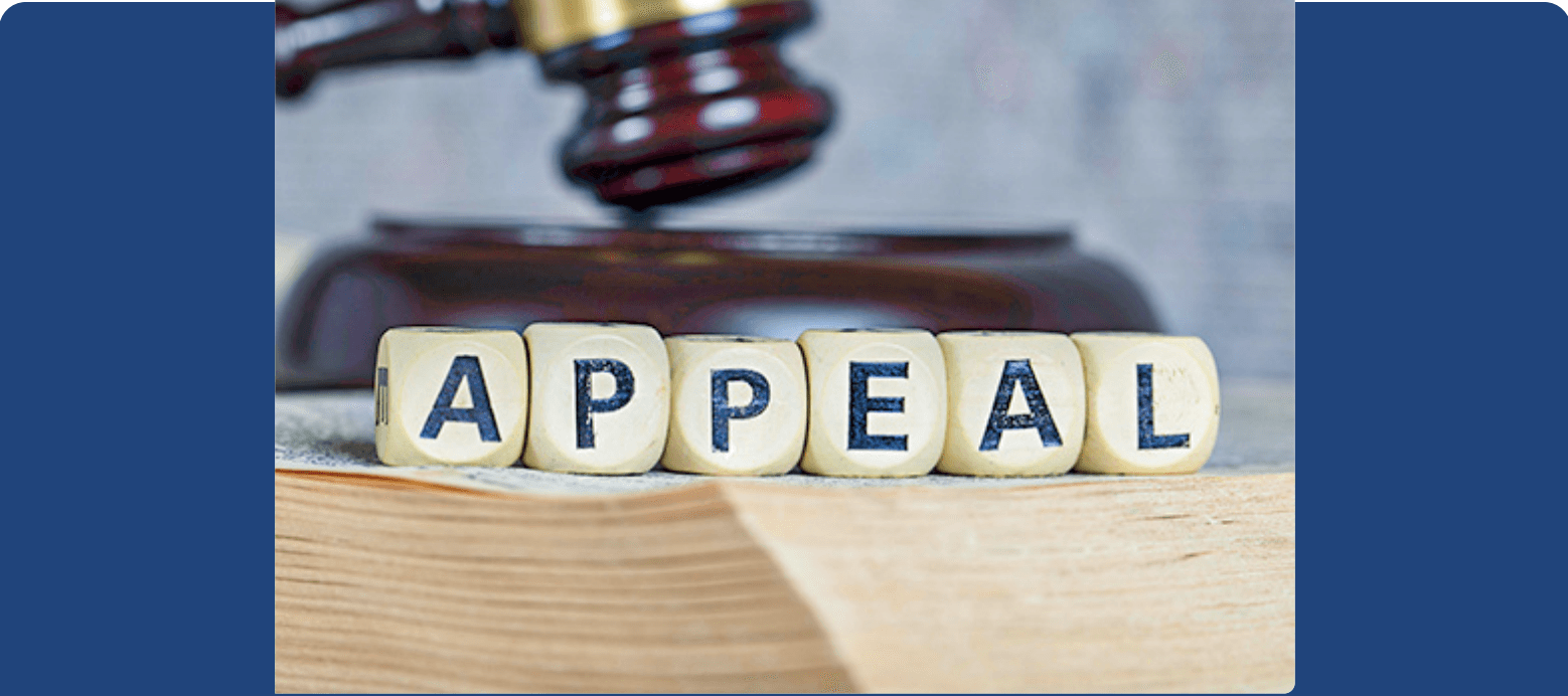 [eBook] 9 Step Appeal Process Guide